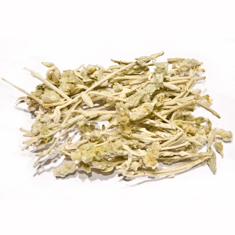 Cretan Sideritis Syriaca (Cretan Mountain Tea)